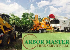 TradeFirst Member, Updated Weekly Services to Tackle Your Projects