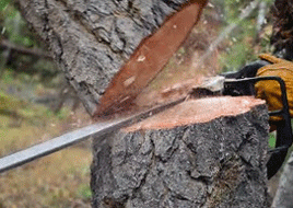 TradeFirst Member, Updated Business Benefits to Tackle Your Fall Projects