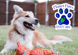 TradeFirst Member, Your Weekly Business Services + Clean Anything ...